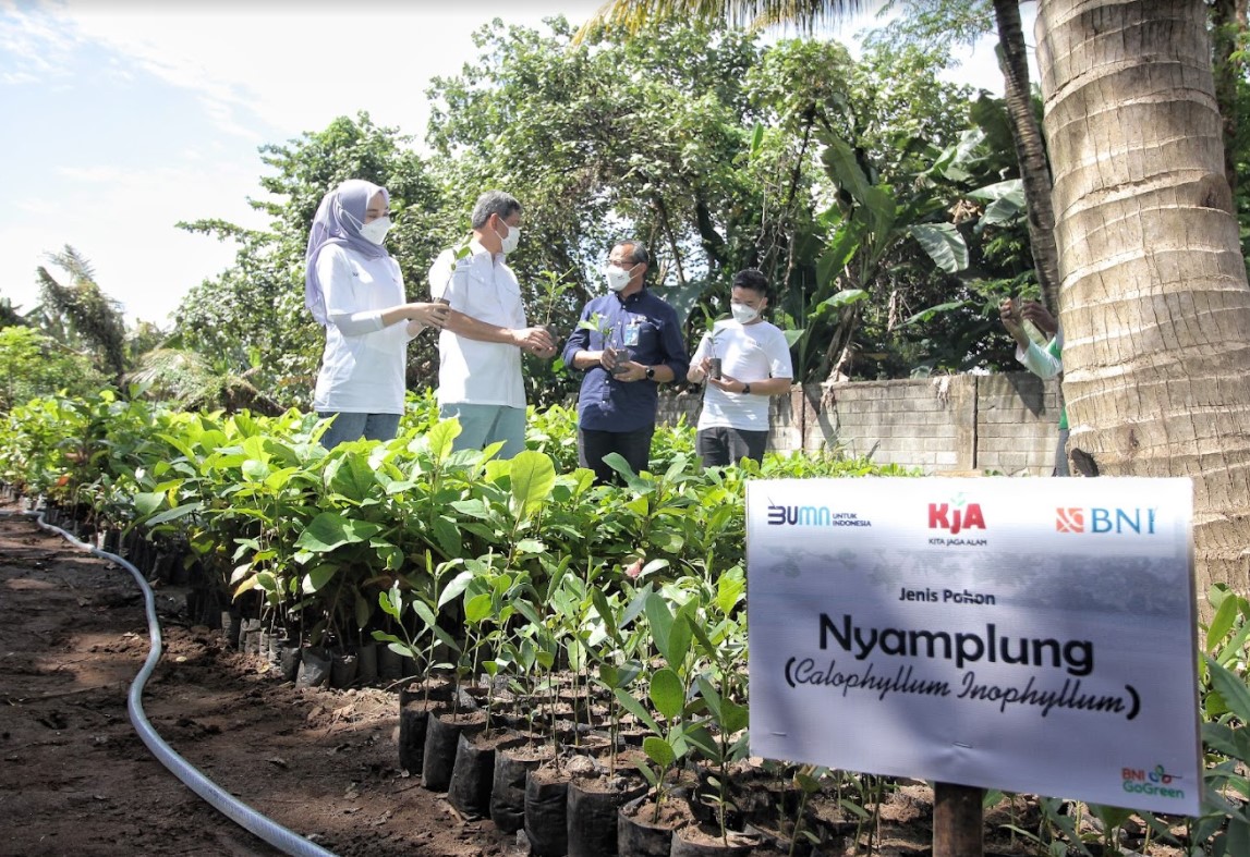 BNI Dorong Rehabilitasi Hutan Pesisir Pantai Anyer dan Hulu DAS Citarum ...